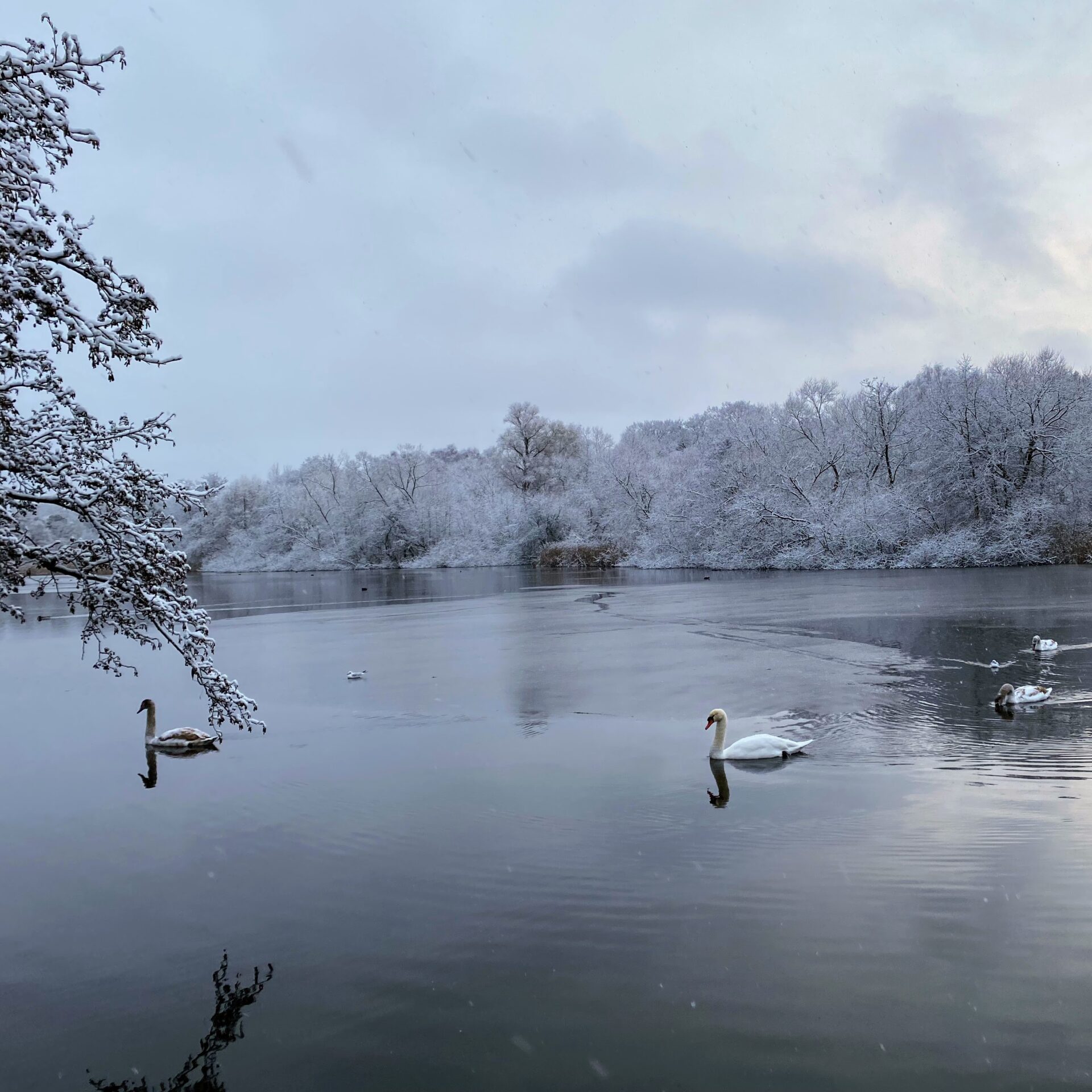 Åndedrætsterapi - THORE FOGH